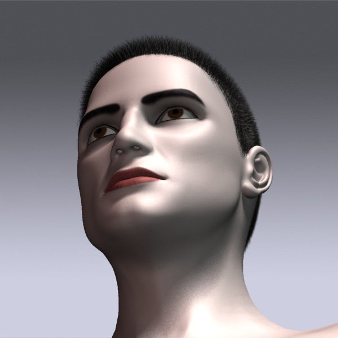 Robert Hair 3d Model