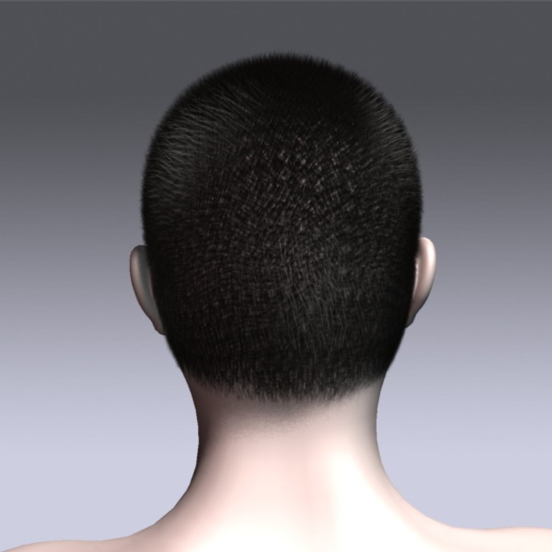 Robert Hair 3d Model