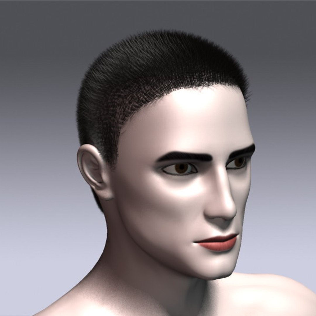 Robert Hair 3d Model