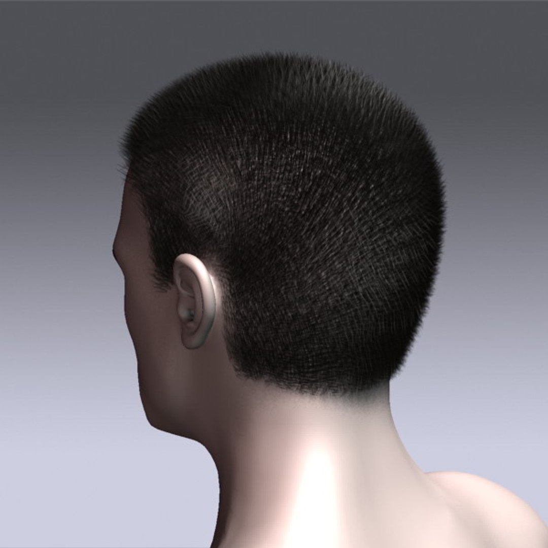 Robert Hair 3d Model