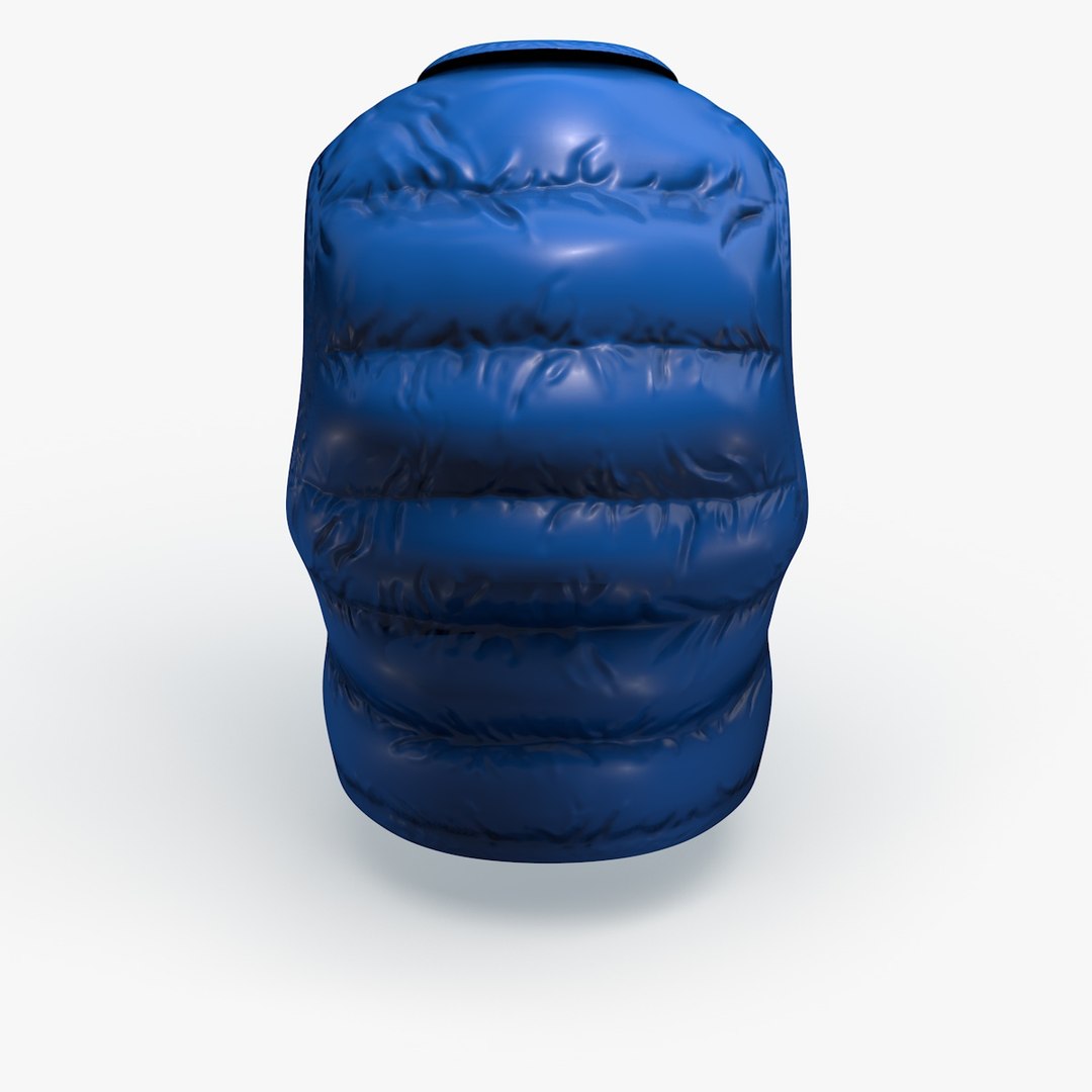 3d Inflated Jacket