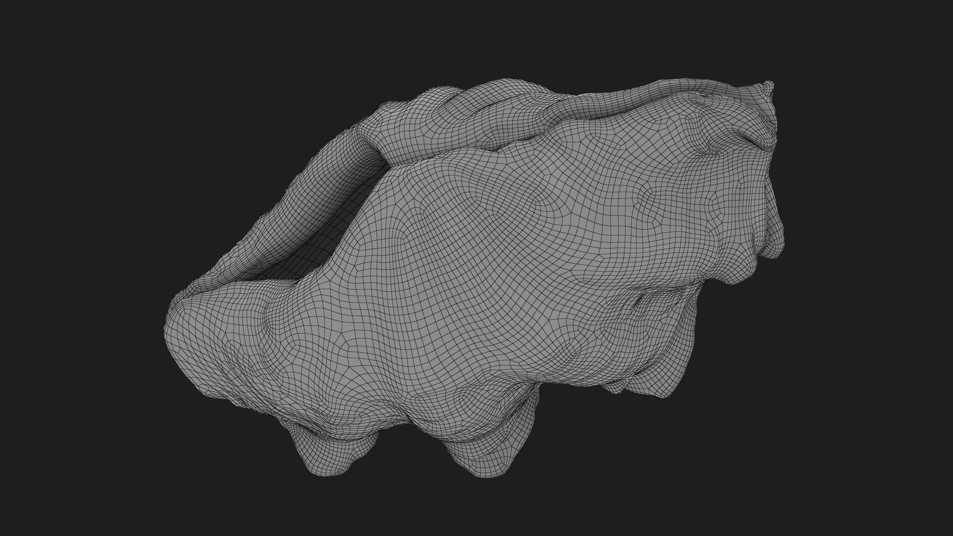 3D Giant Clam Shell Model - TurboSquid 2302564