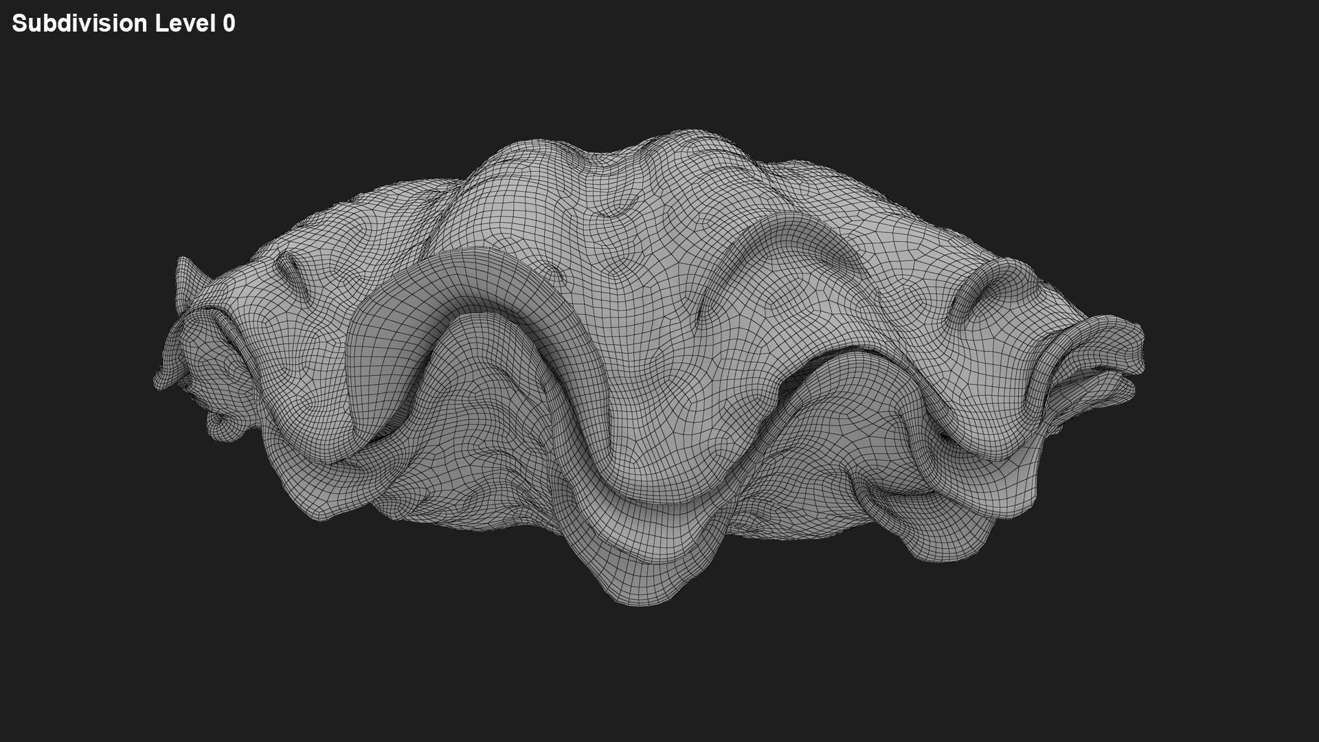 3D Giant Clam Shell Model - TurboSquid 2302564