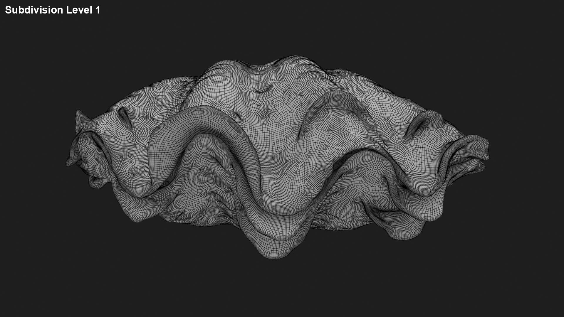3D Giant Clam Shell Model - TurboSquid 2302564