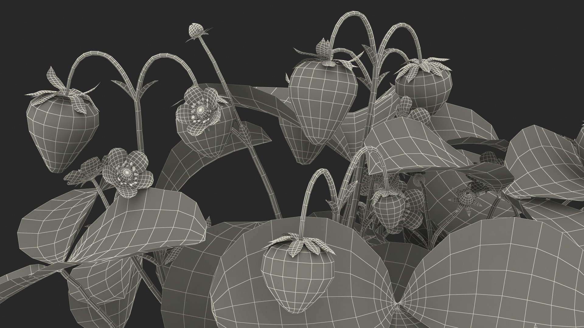 3D strawberry plant ripe unripe - TurboSquid 1624005