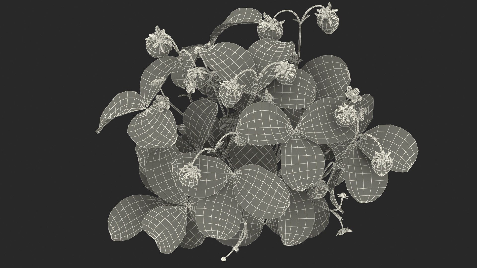 3D strawberry plant ripe unripe - TurboSquid 1624005