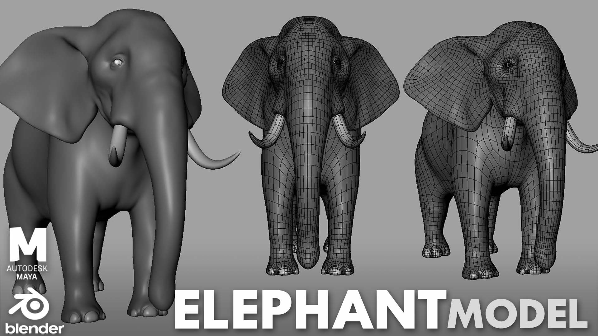 16 Wild Animal Colelction 3D Model - TurboSquid 2234860
