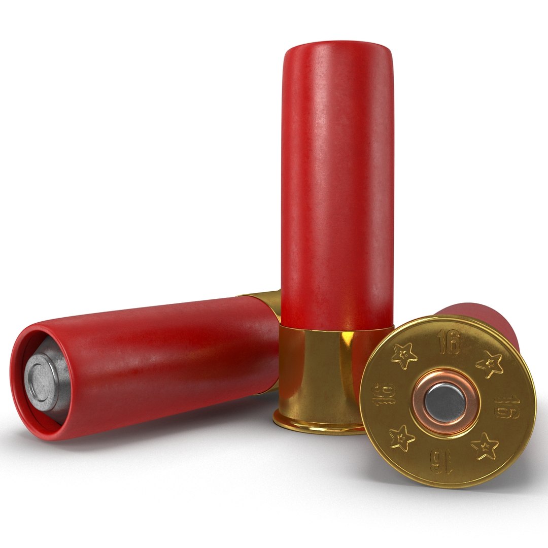 Shotgun Shell 3d Model