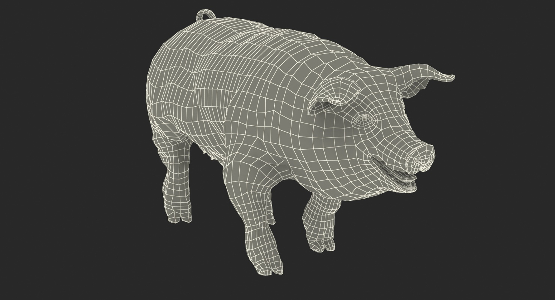3D hampshire pig sow walking - TurboSquid 1357847