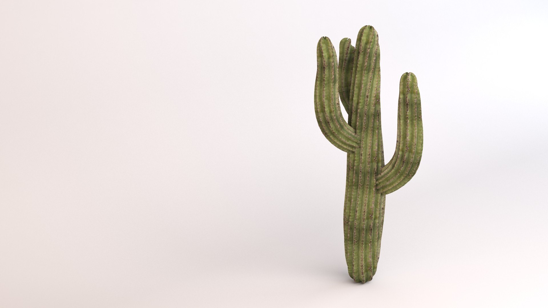 Cactus model - TurboSquid 1432948
