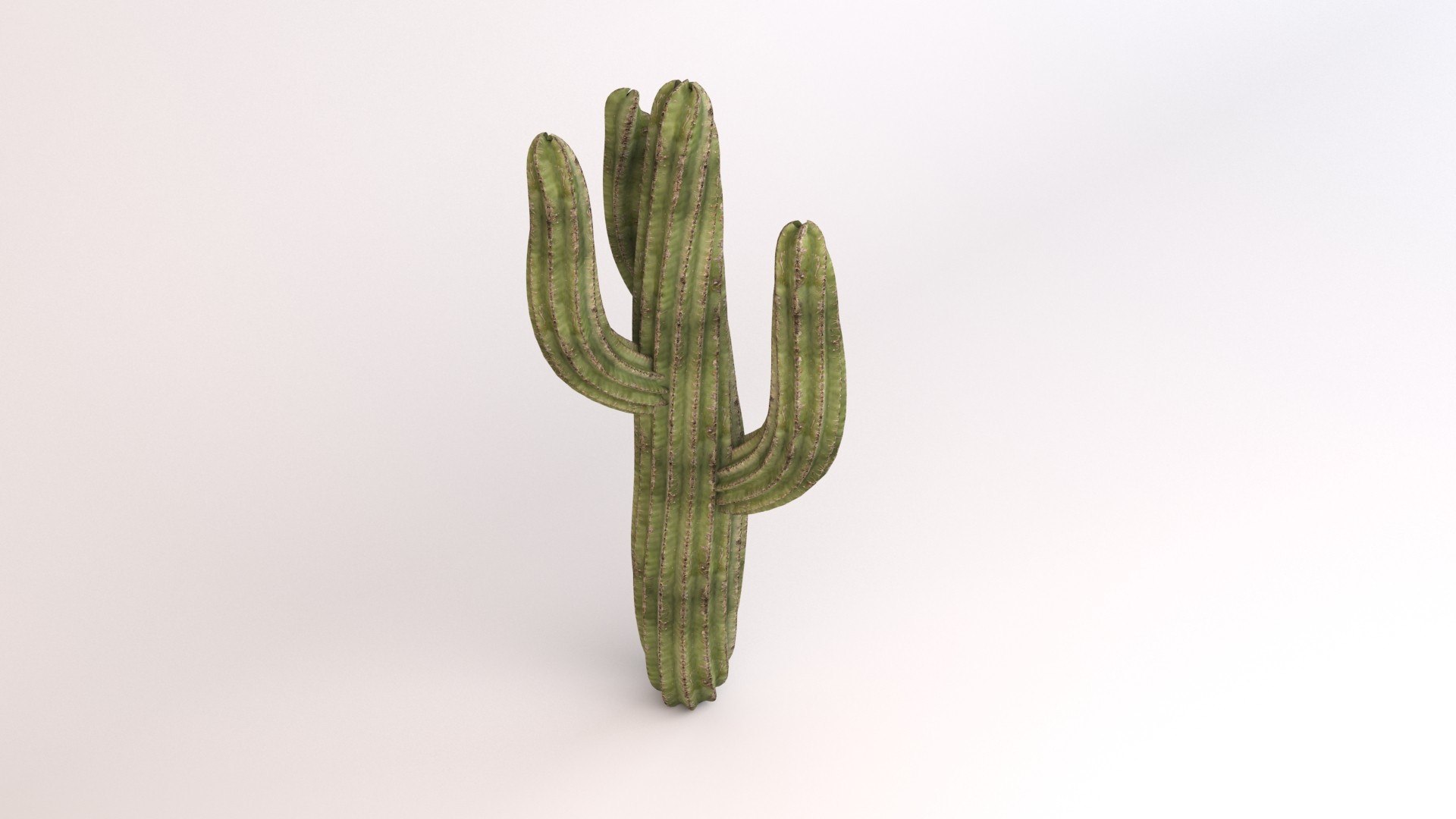 Cactus model - TurboSquid 1432948