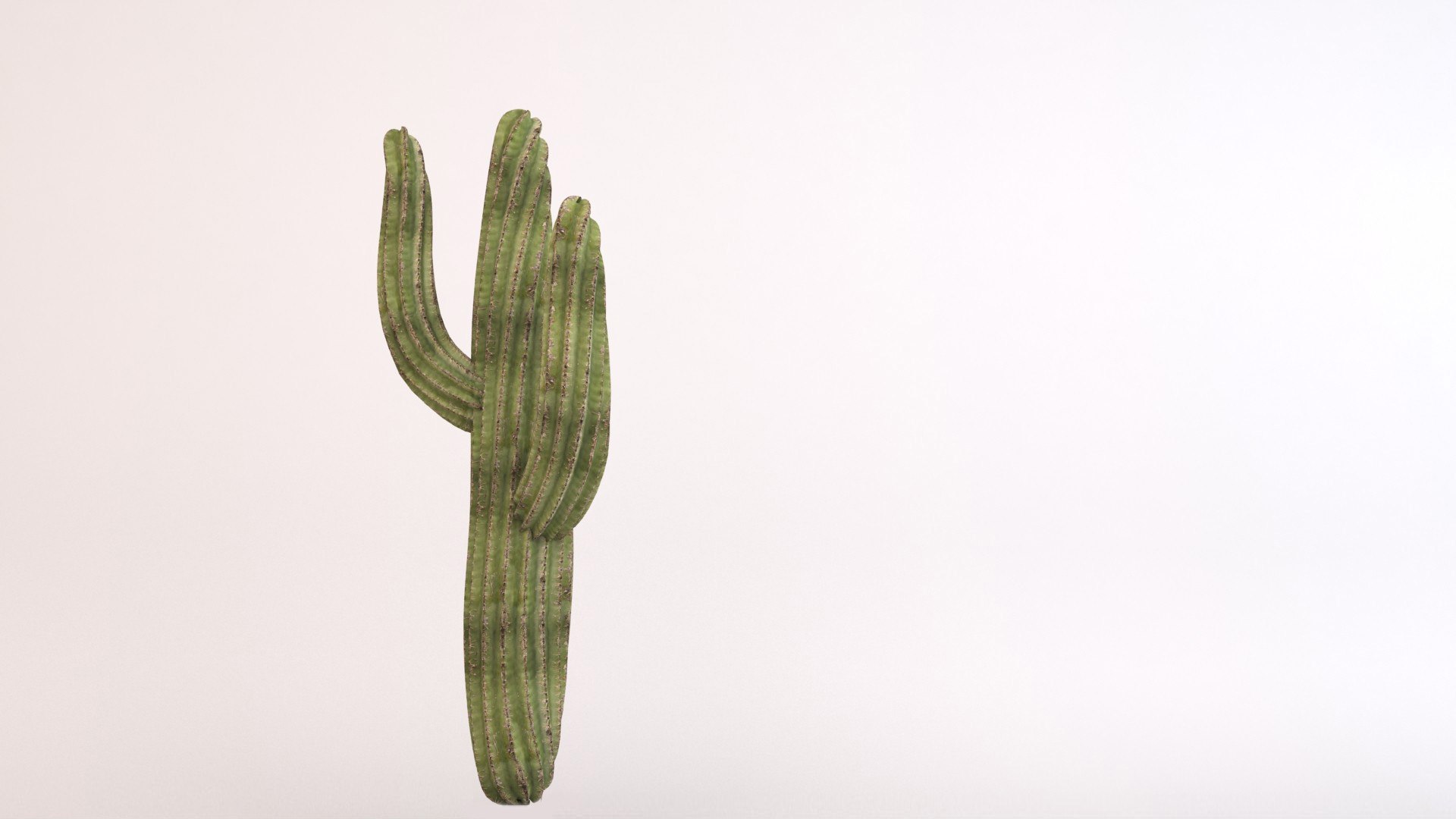 Cactus model - TurboSquid 1432948