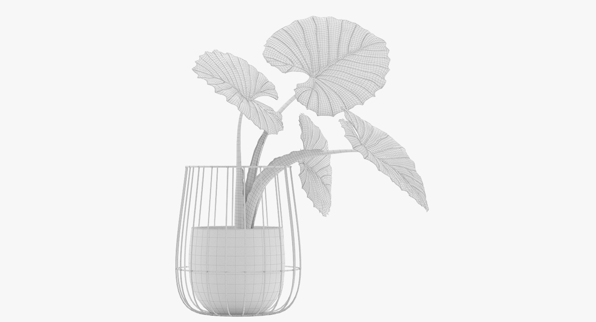 3D taro plant - TurboSquid 1280729