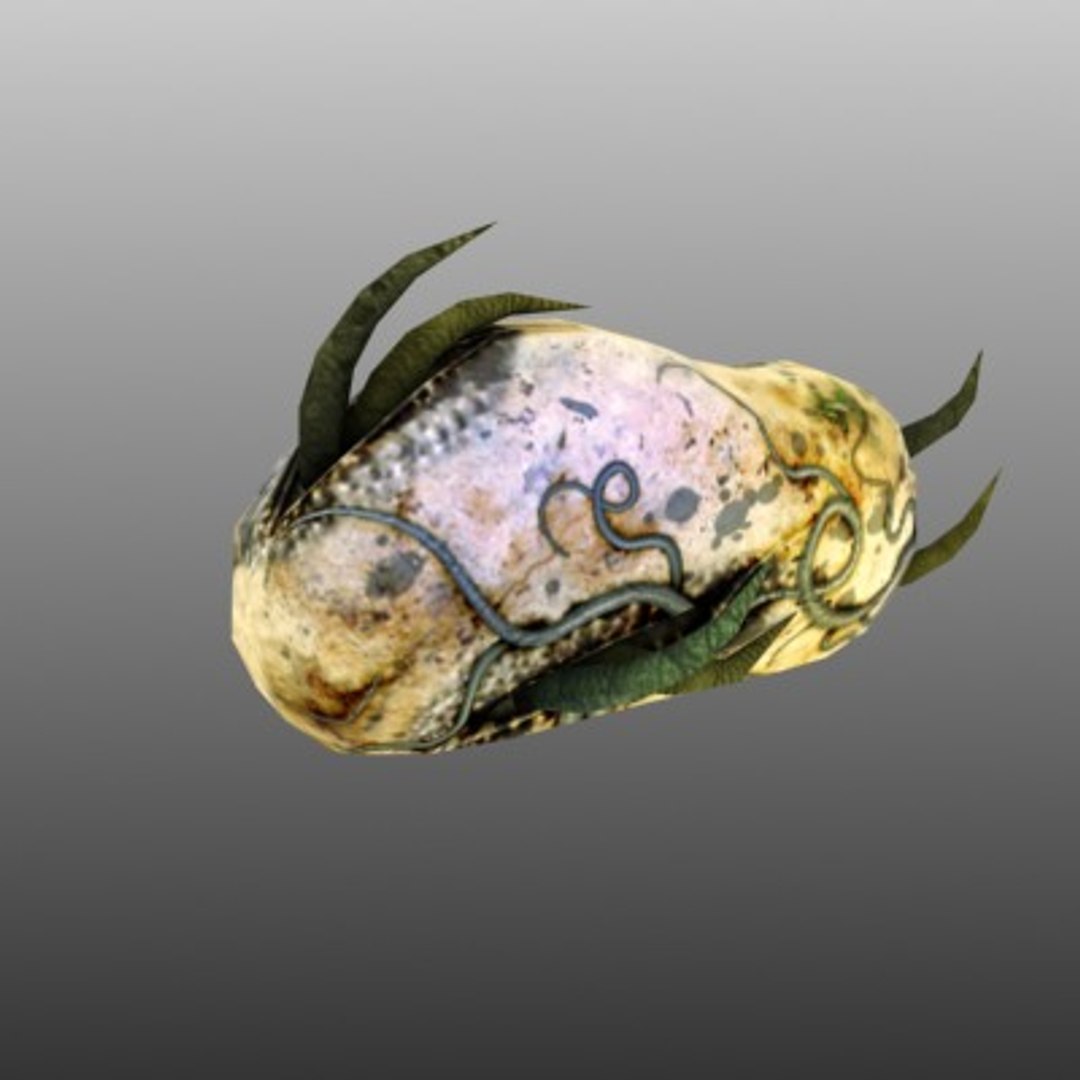 Packs Space Insects 3d Model