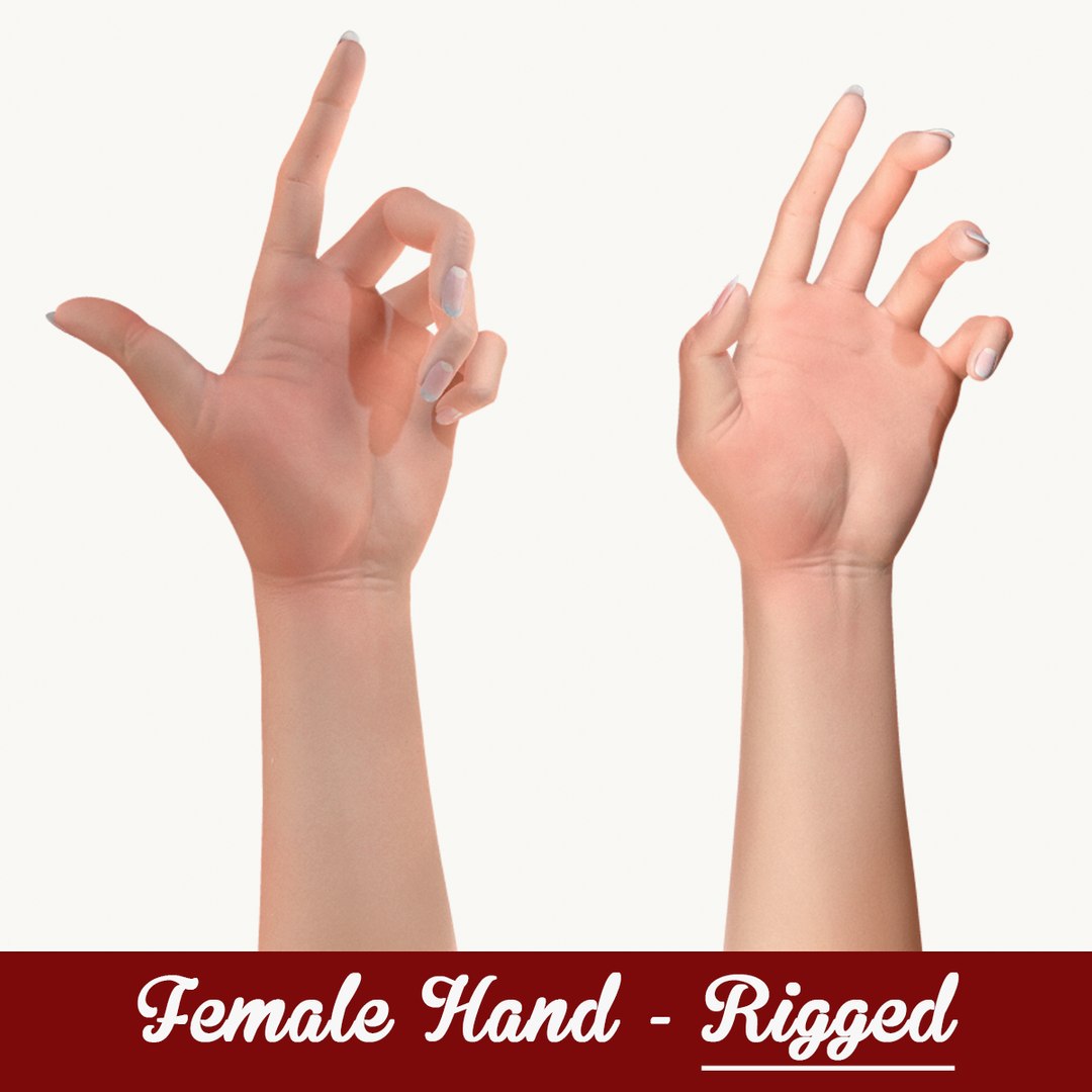 3D Female Hand Anatomy - TurboSquid 1706849