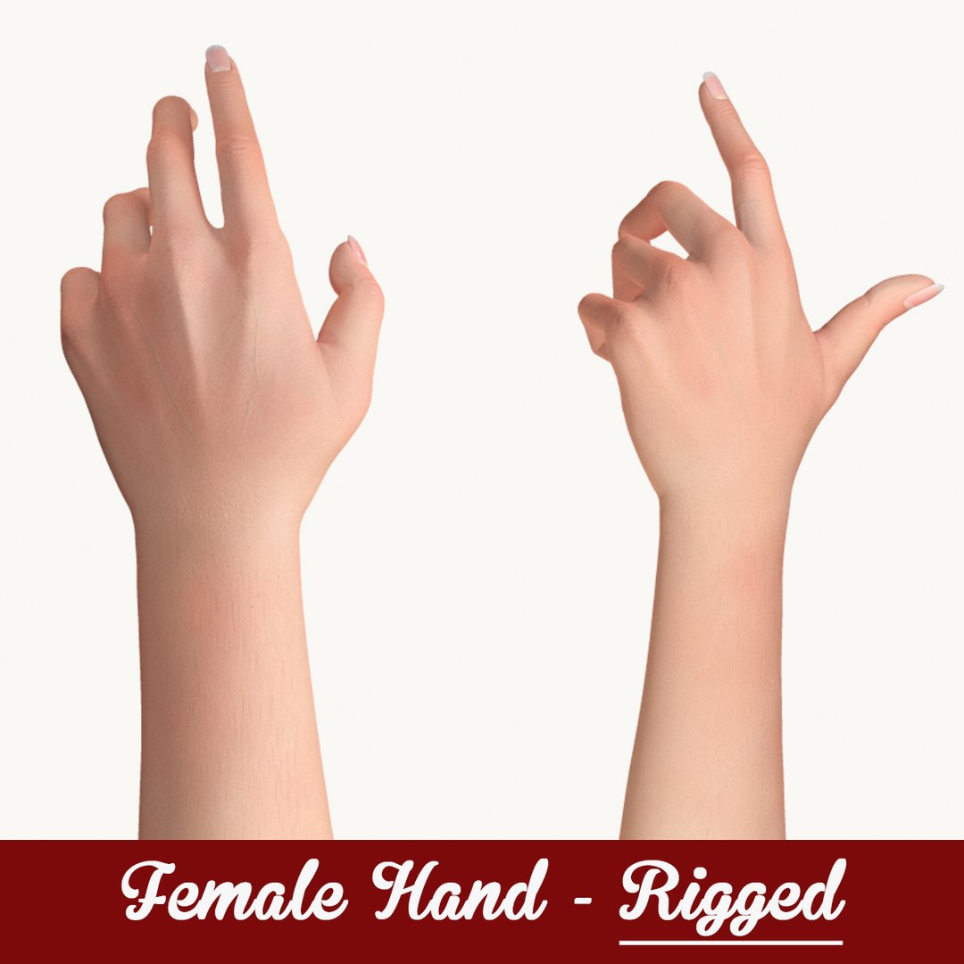3D Female Hand Anatomy - TurboSquid 1706849