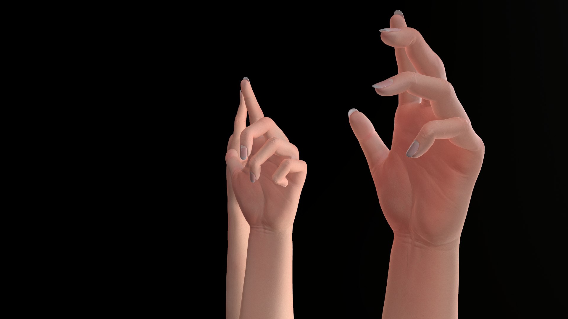 3D Female Hand Anatomy - TurboSquid 1706849