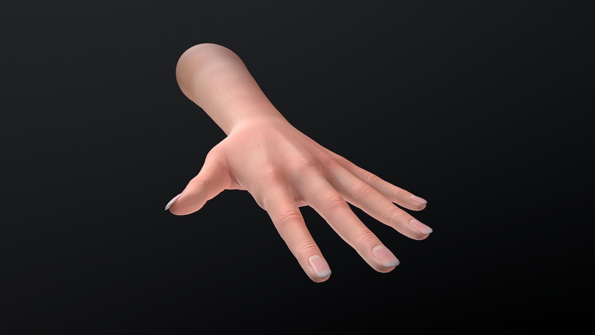 3D Female Hand Anatomy - TurboSquid 1706849