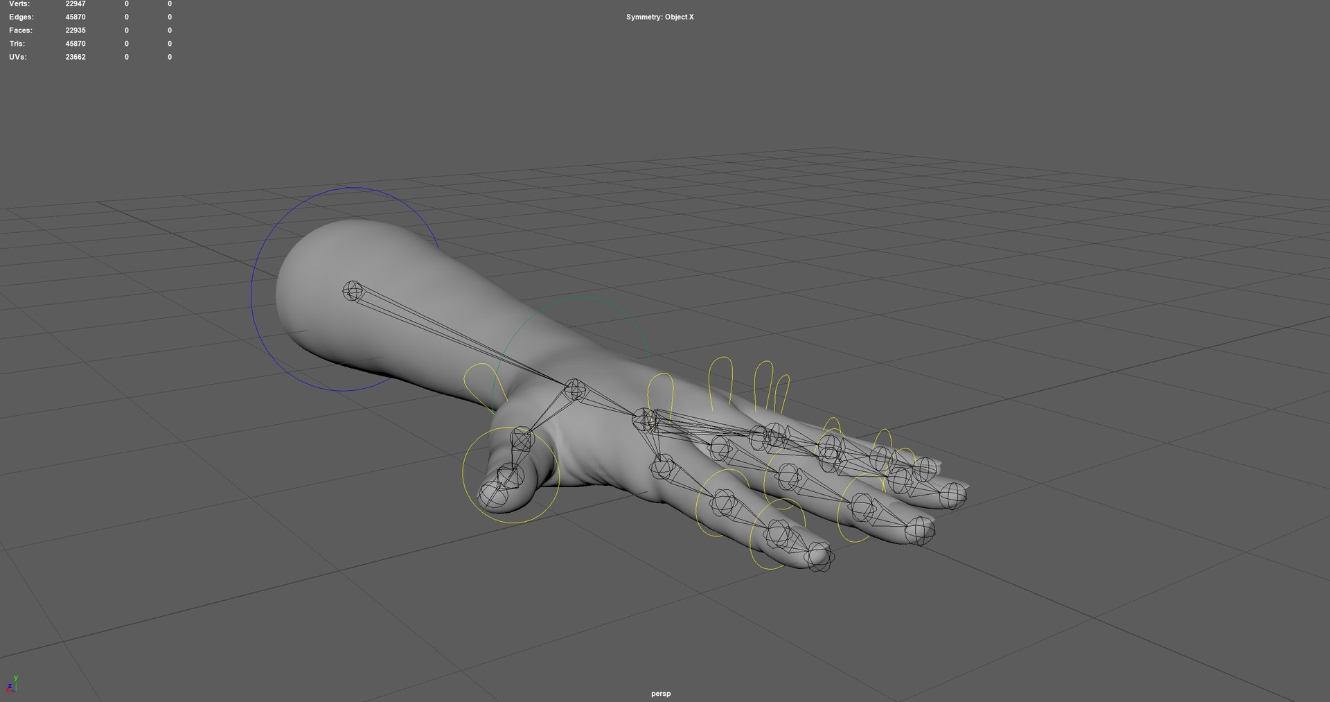 3D Female Hand Anatomy - TurboSquid 1706849