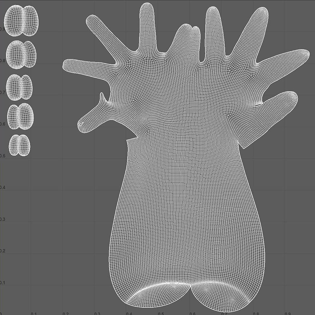 3D Female Hand Anatomy - TurboSquid 1706849