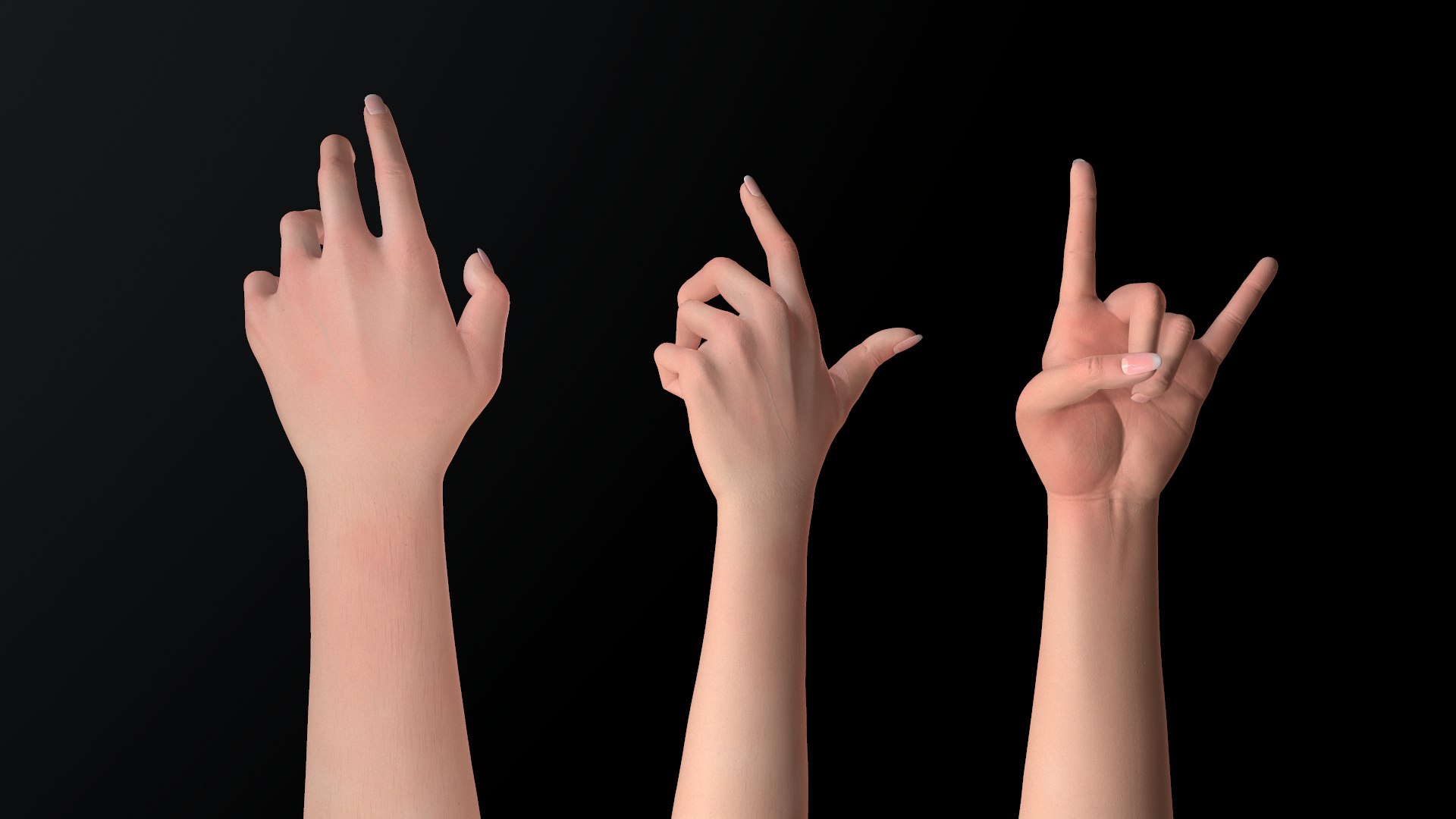 3D Female Hand Anatomy - TurboSquid 1706849