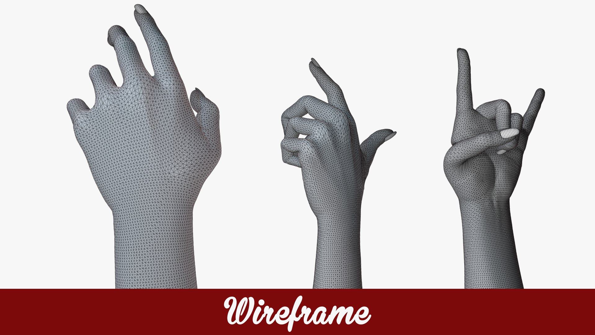 3D Female Hand Anatomy - TurboSquid 1706849