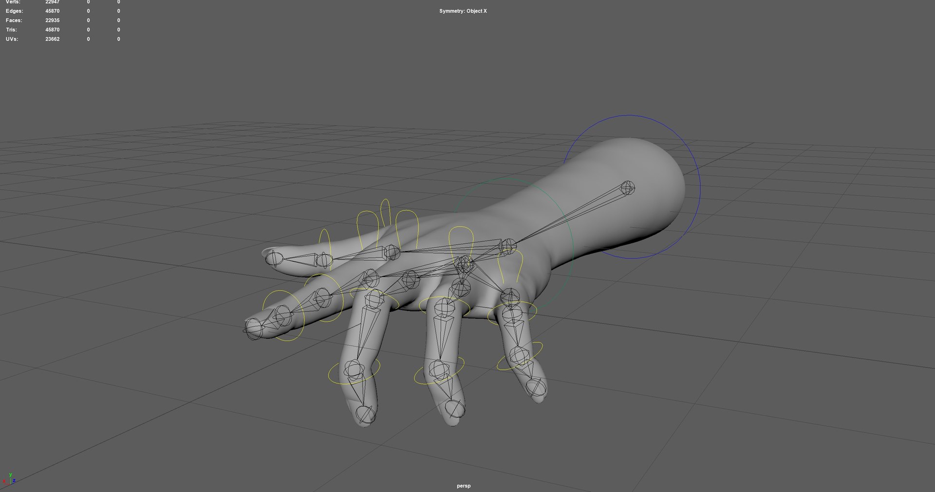 3D Female Hand Anatomy - TurboSquid 1706849