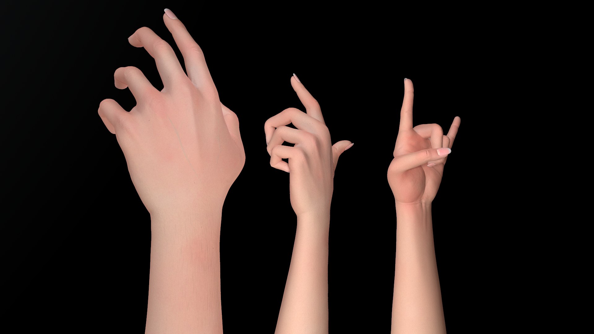 3D Female Hand Anatomy - TurboSquid 1706849