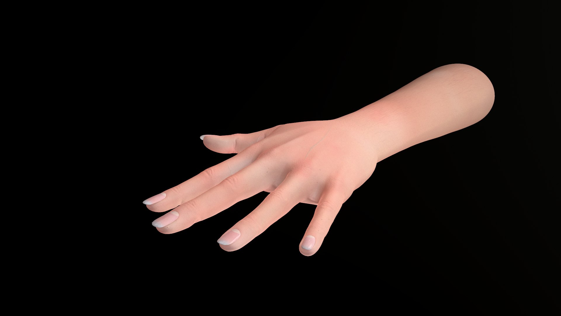 3D Female Hand Anatomy - TurboSquid 1706849