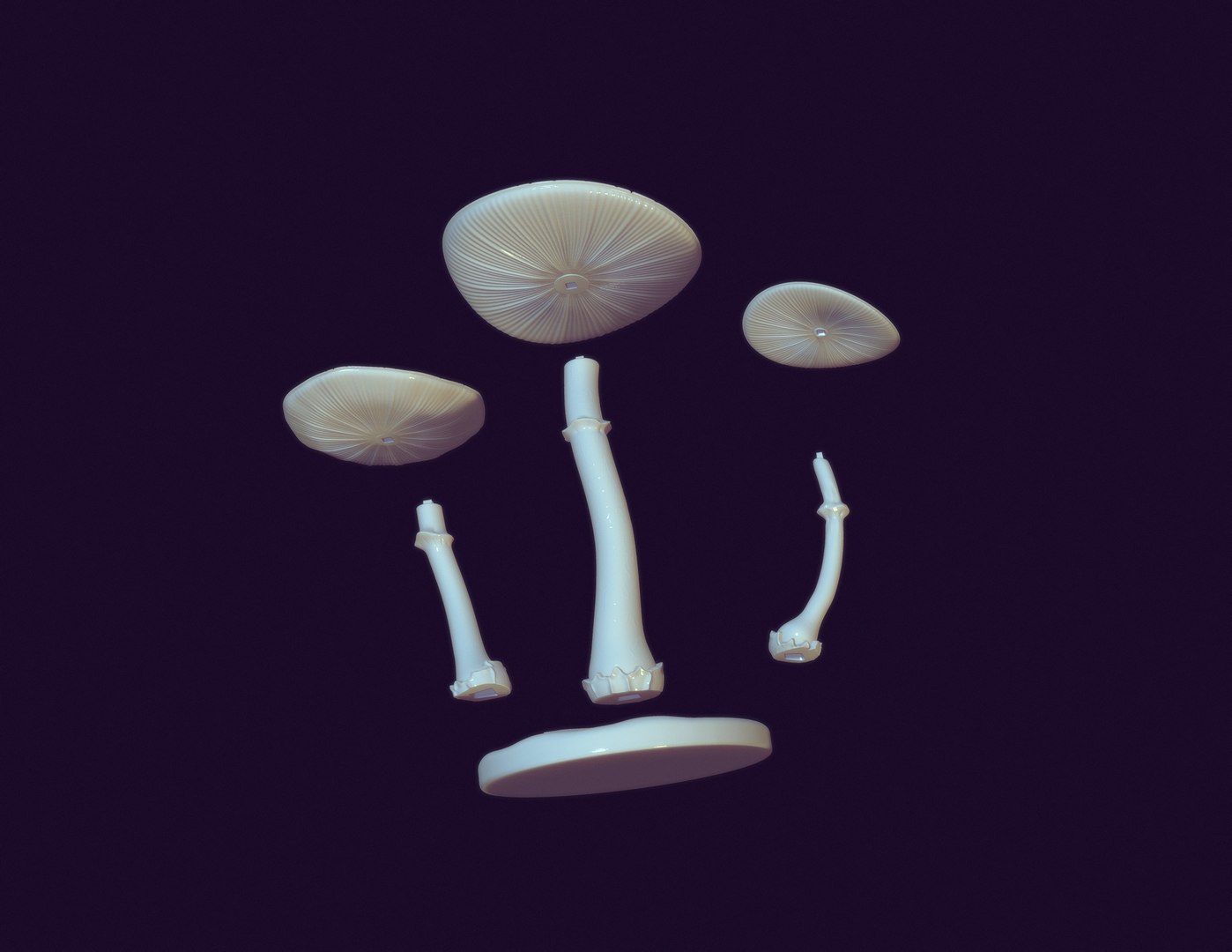 DEATH CAP TOY 3D Model - TurboSquid 1967062