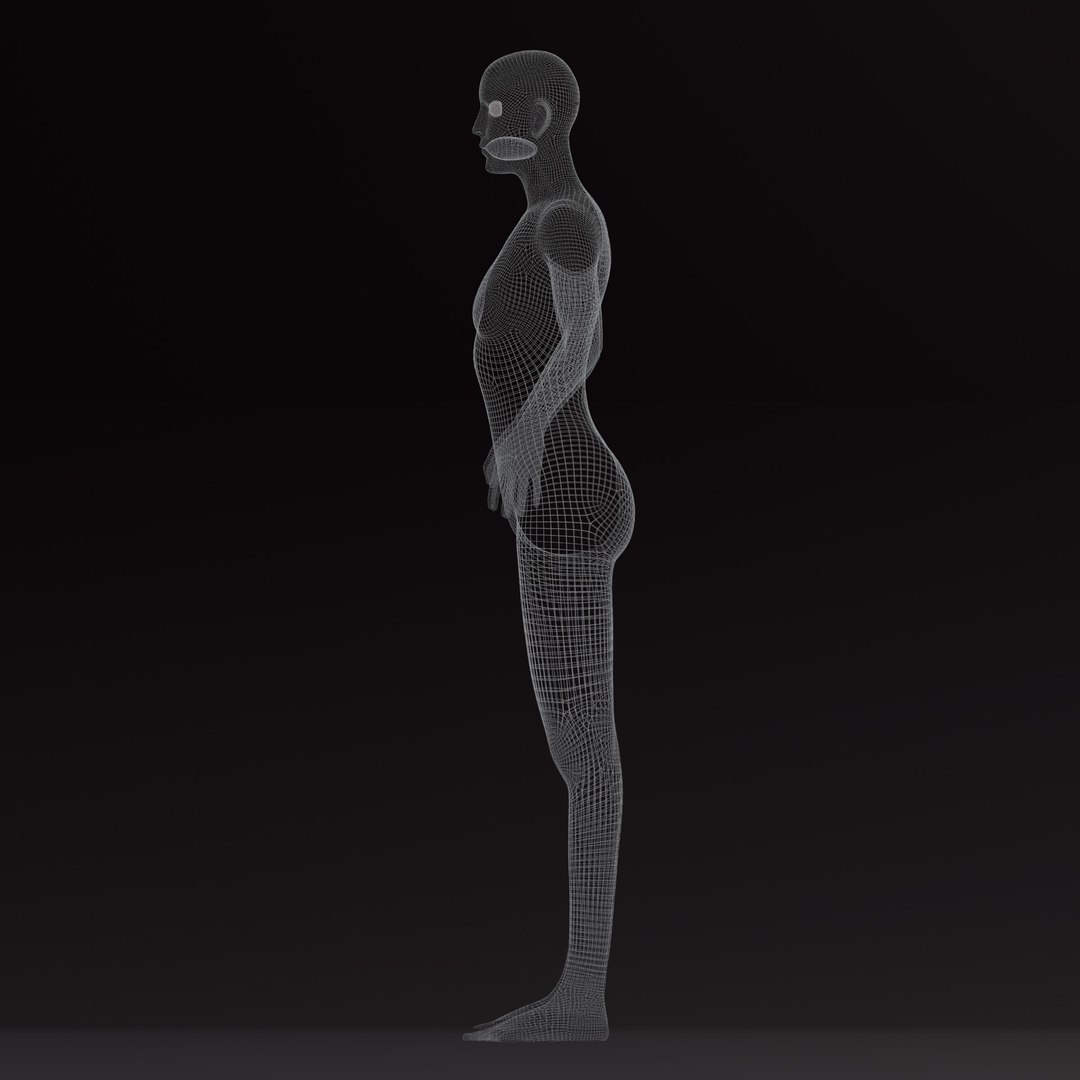 3D Model Woman Base Mesh Thin Body Shape 3D Model - TurboSquid 2172967