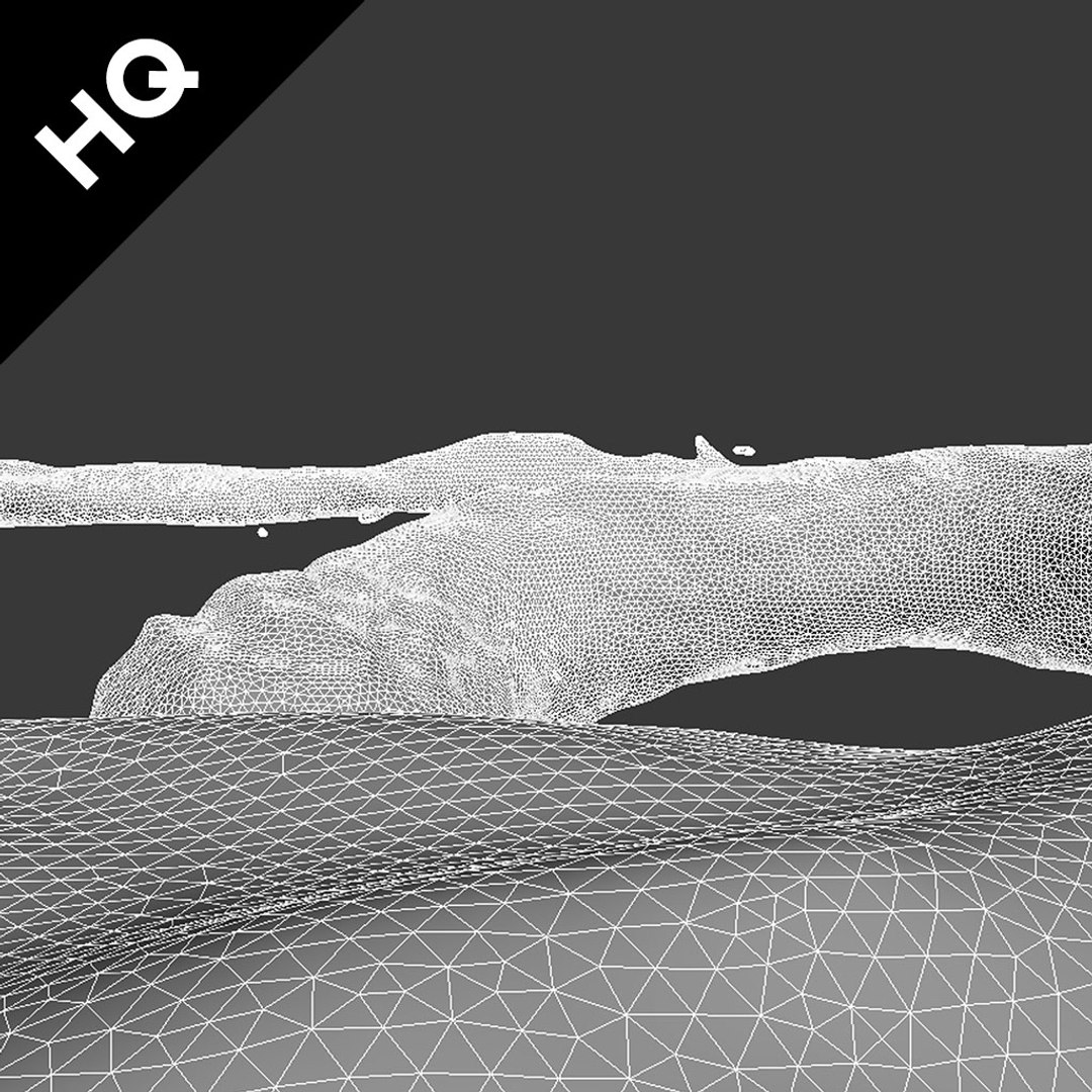 3d flow realflow model