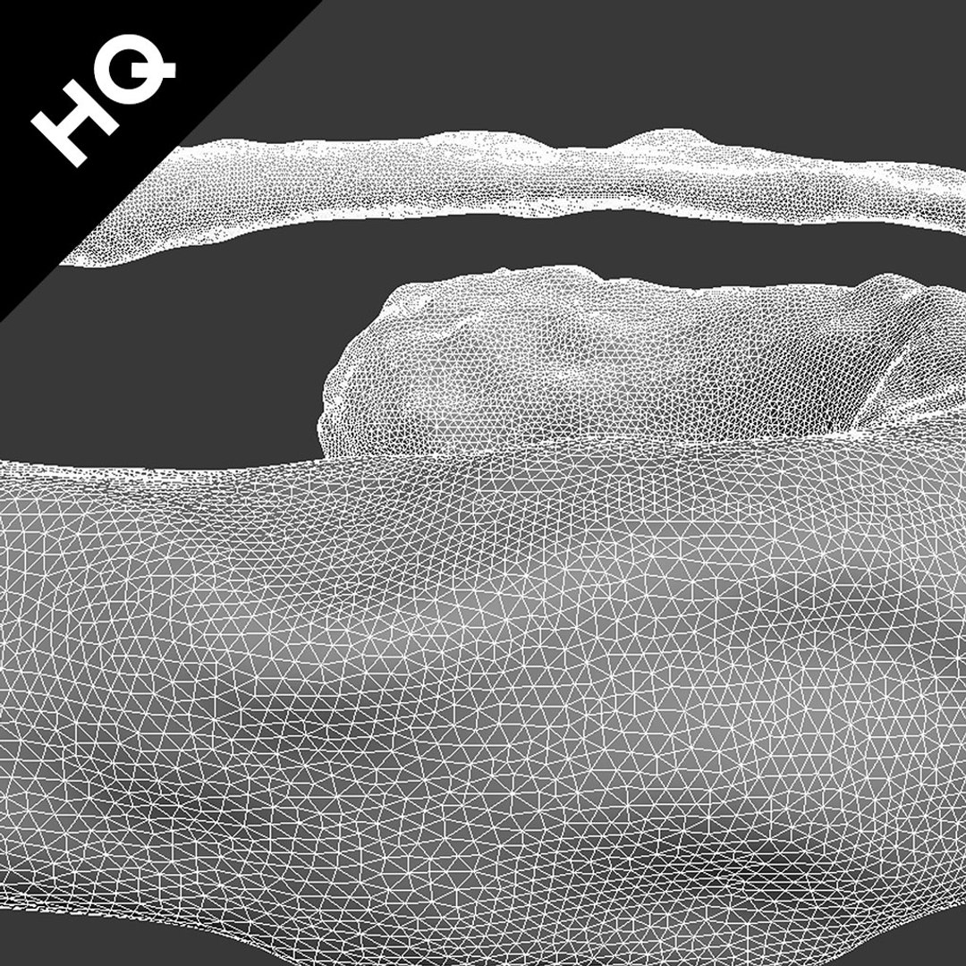 3d flow realflow model