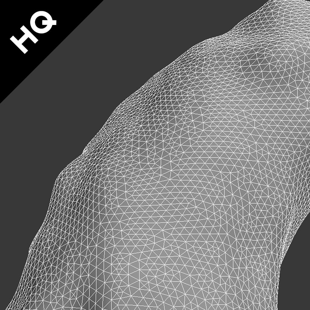 3d flow realflow model