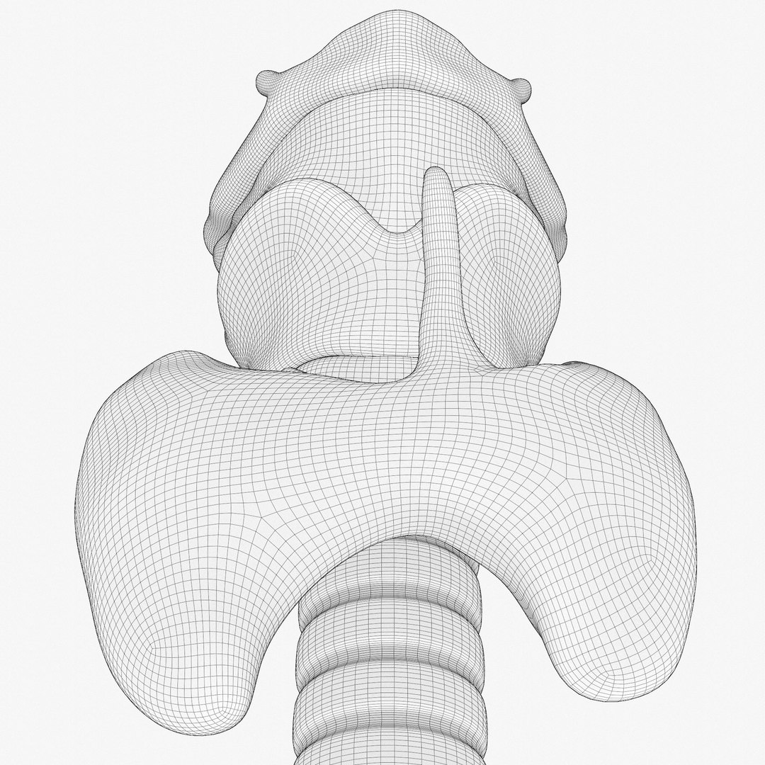 3D Thyroid - TurboSquid 1953273