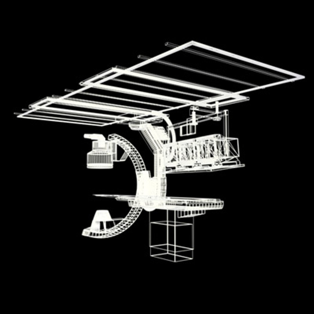 Angio Medical 3d Model