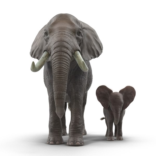 Cinema 4D 용 Elephants Rigged 3D 모델 컬렉션 3D 모델 - TurboSquid 1515812