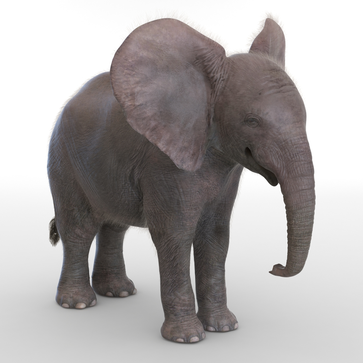 3D elephants rigged model - TurboSquid 1515812