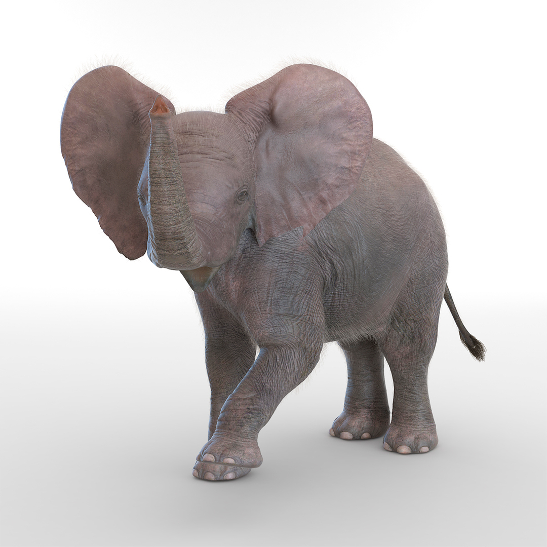 3D elephants rigged model - TurboSquid 1515812