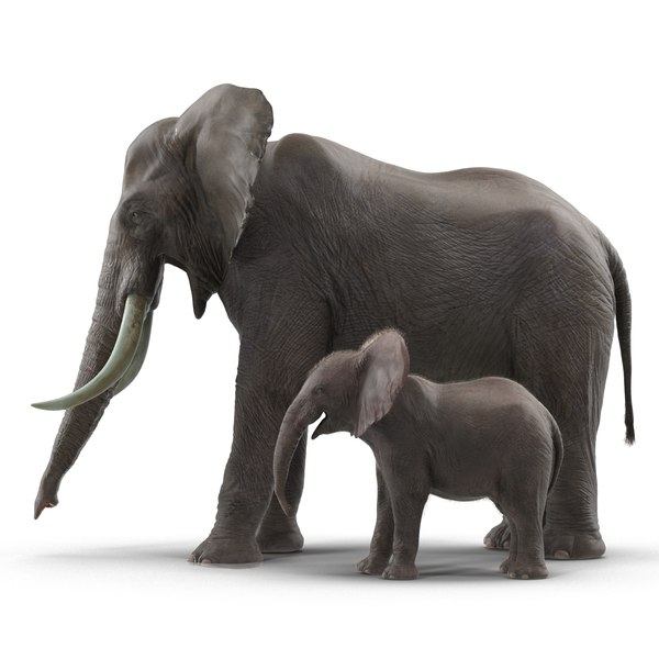 Cinema 4D 용 Elephants Rigged 3D 모델 컬렉션 3D 모델 - TurboSquid 1515812