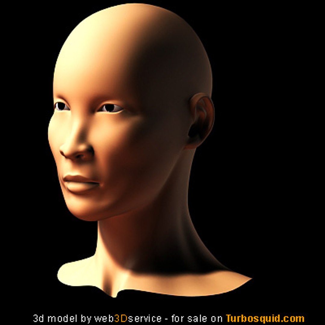 3d Asian Female Head