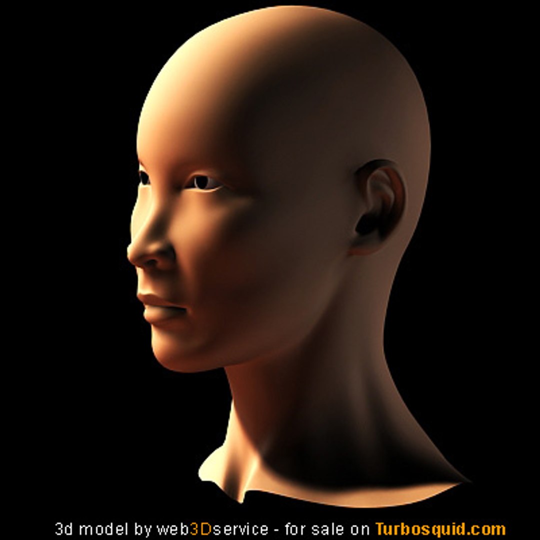 3d Asian Female Head