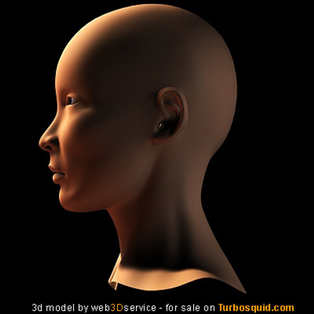 3d Asian Female Head