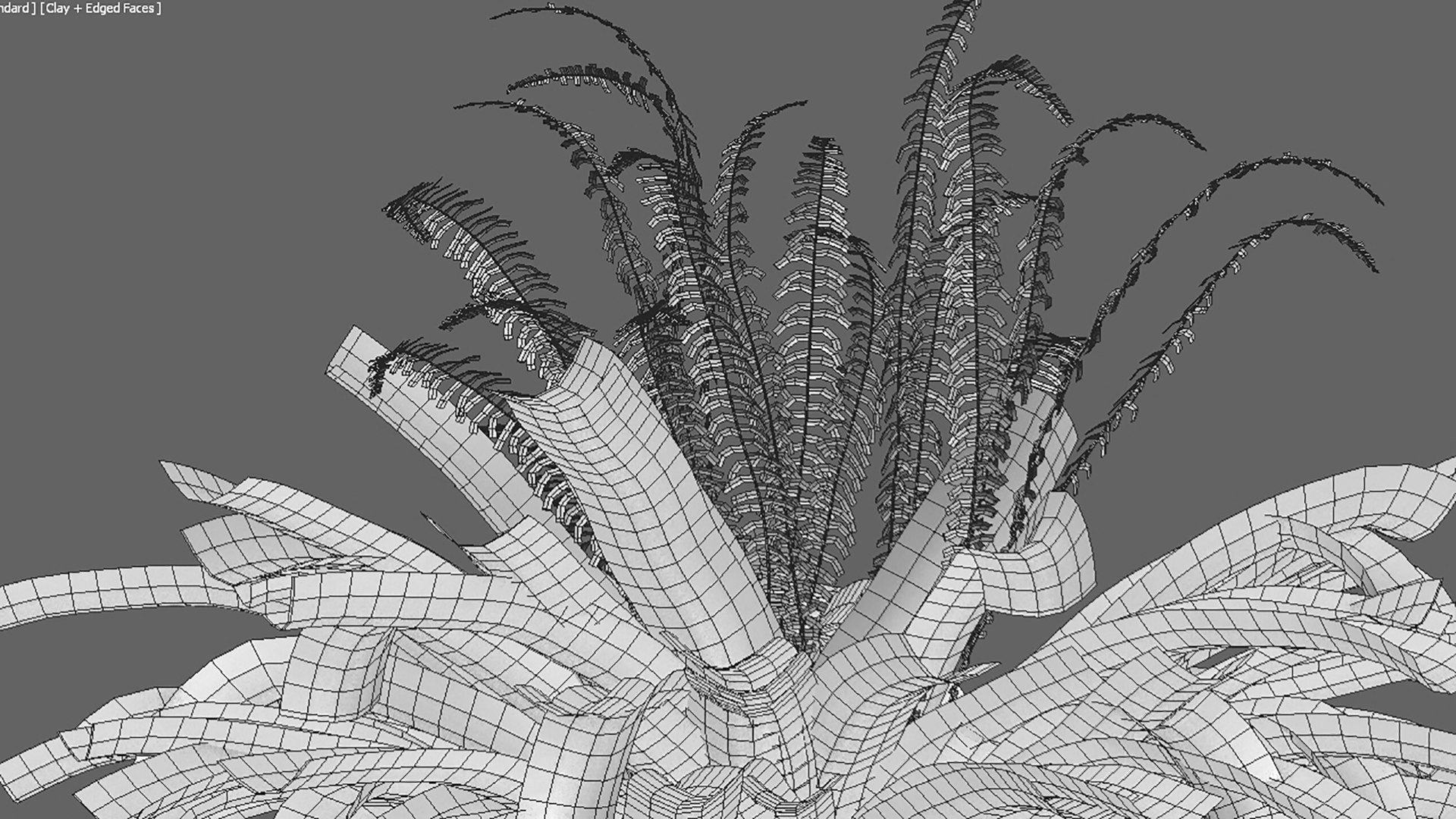 Blechnum spicant - Deer Fern - 02 3D model - TurboSquid 1782062