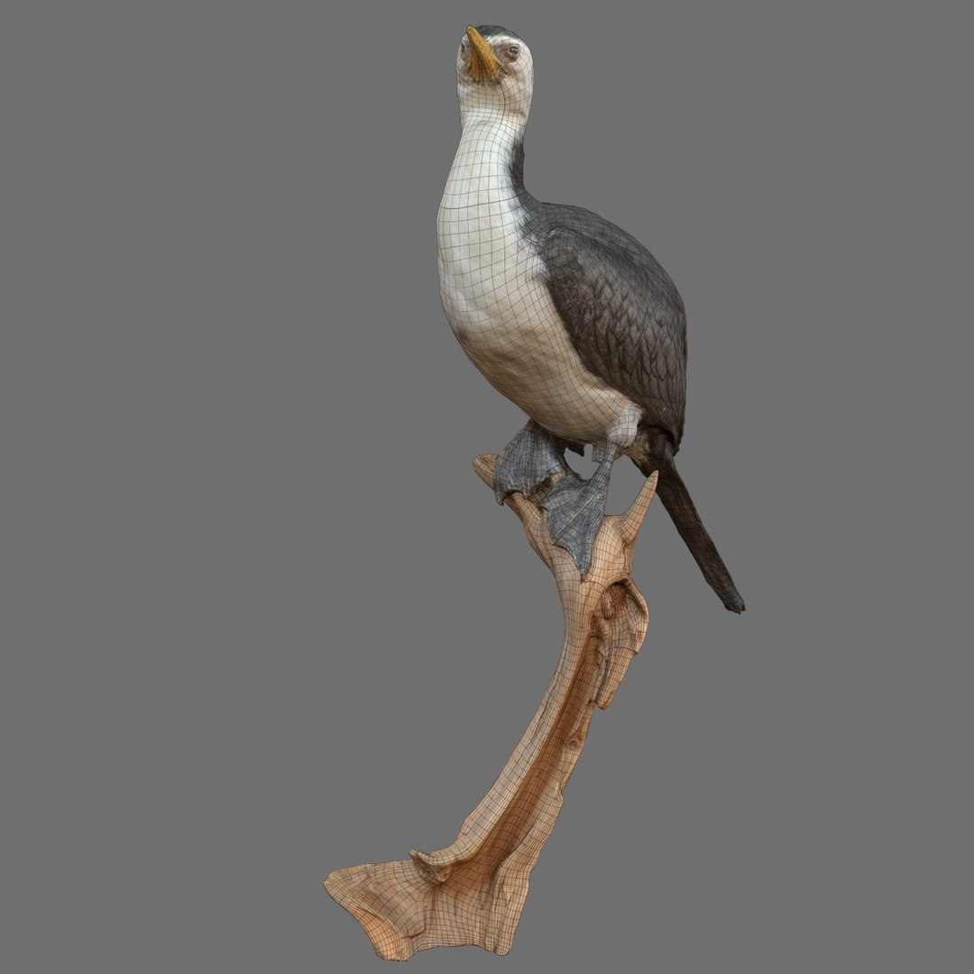 3D Animal Scanned Unity - TurboSquid 1171921