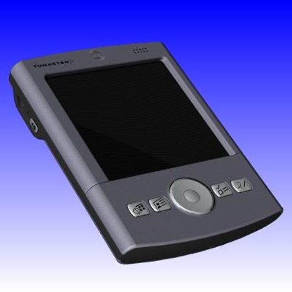 3d model palm tungsten