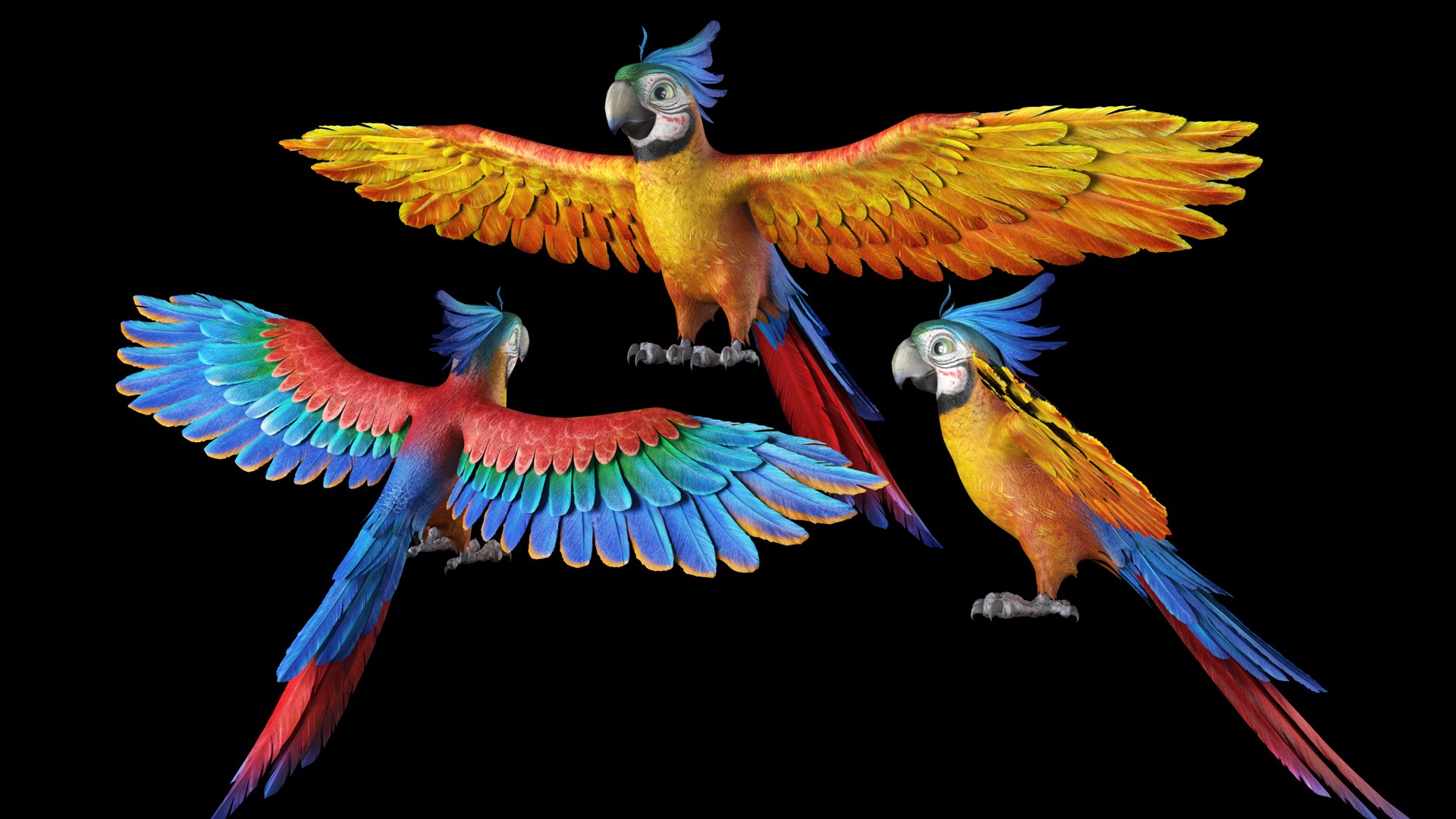 Parrot Bird Cartoon Bird 3D Model - TurboSquid 1958170