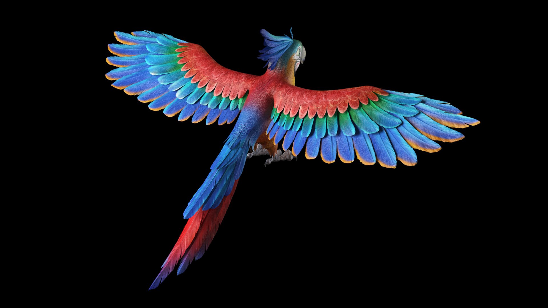 Parrot Bird Cartoon Bird 3D Model - TurboSquid 1958170