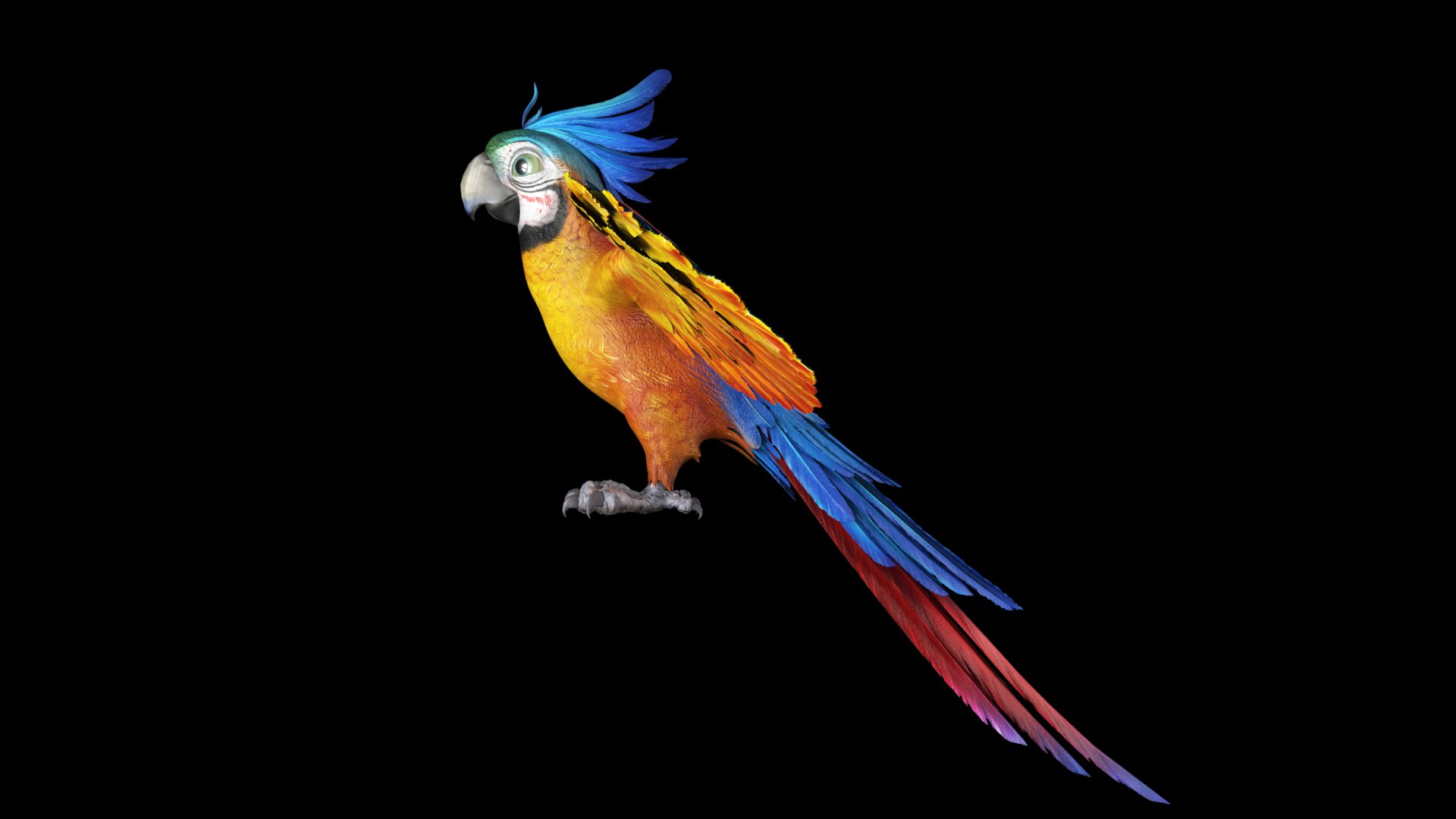 Parrot Bird Cartoon Bird 3D Model - TurboSquid 1958170