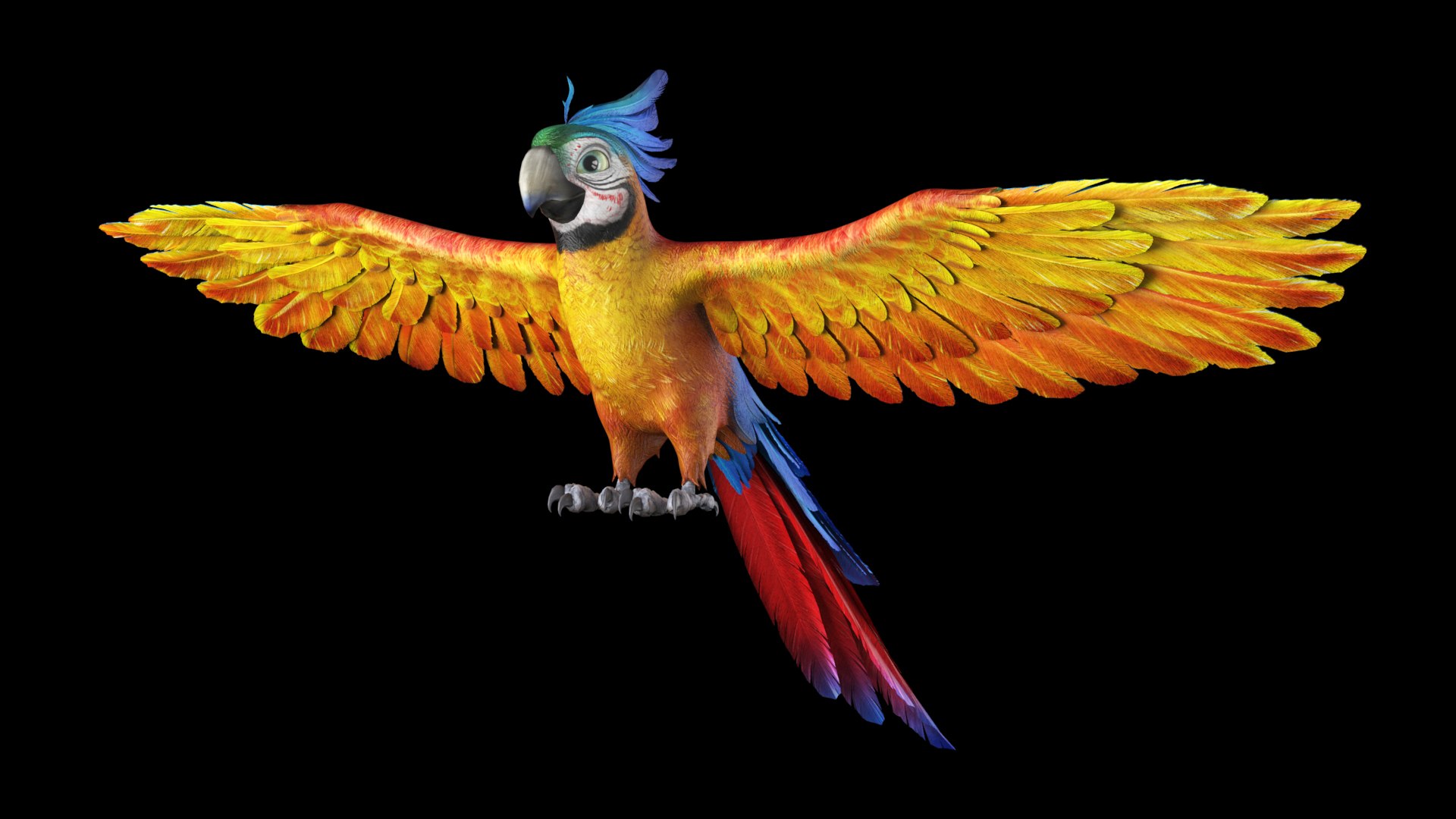 Parrot Bird Cartoon Bird 3D Model - TurboSquid 1958170